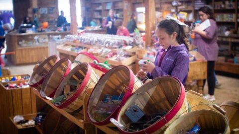 Museum | MS Ag Museum